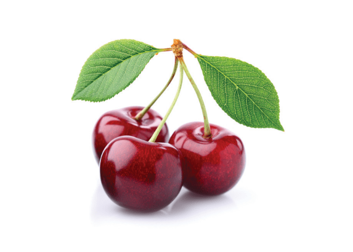 Vita Fruit | Baumschule Kirsche